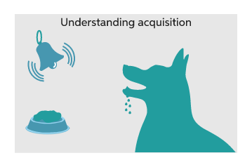Is Ptsd Classical Conditioning Anxiety Boss